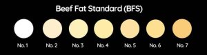 A Complete Guide to the Japanese Wagyu Beef Grading System